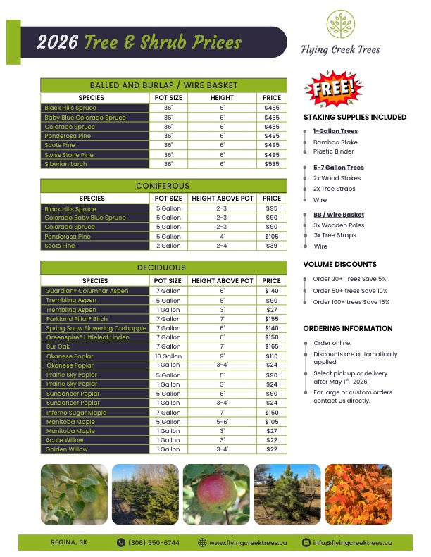 Tree Price List – Flying Creek Trees